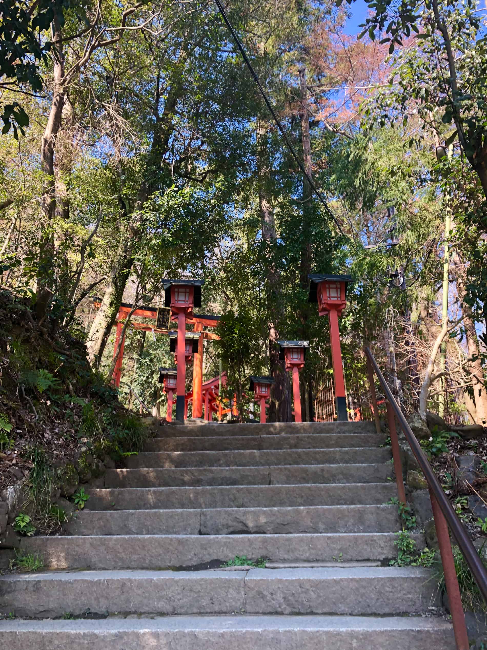 Everything you need to know before visiting Kyoto's Monkey Park ...